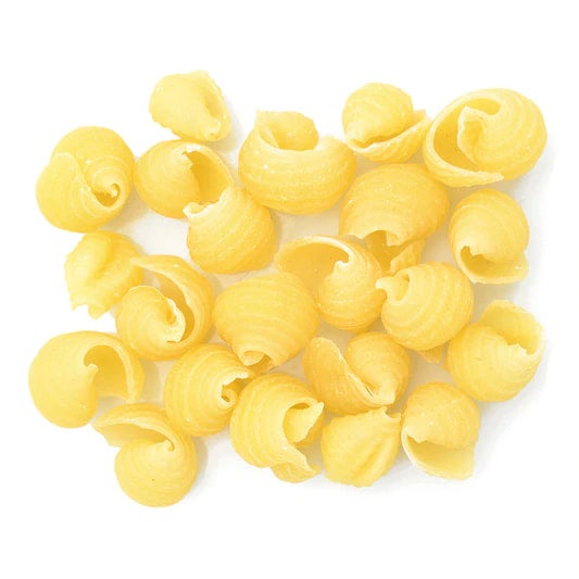 Shell Pasta | Trace — The Zero Waste Store | Vienna, VA